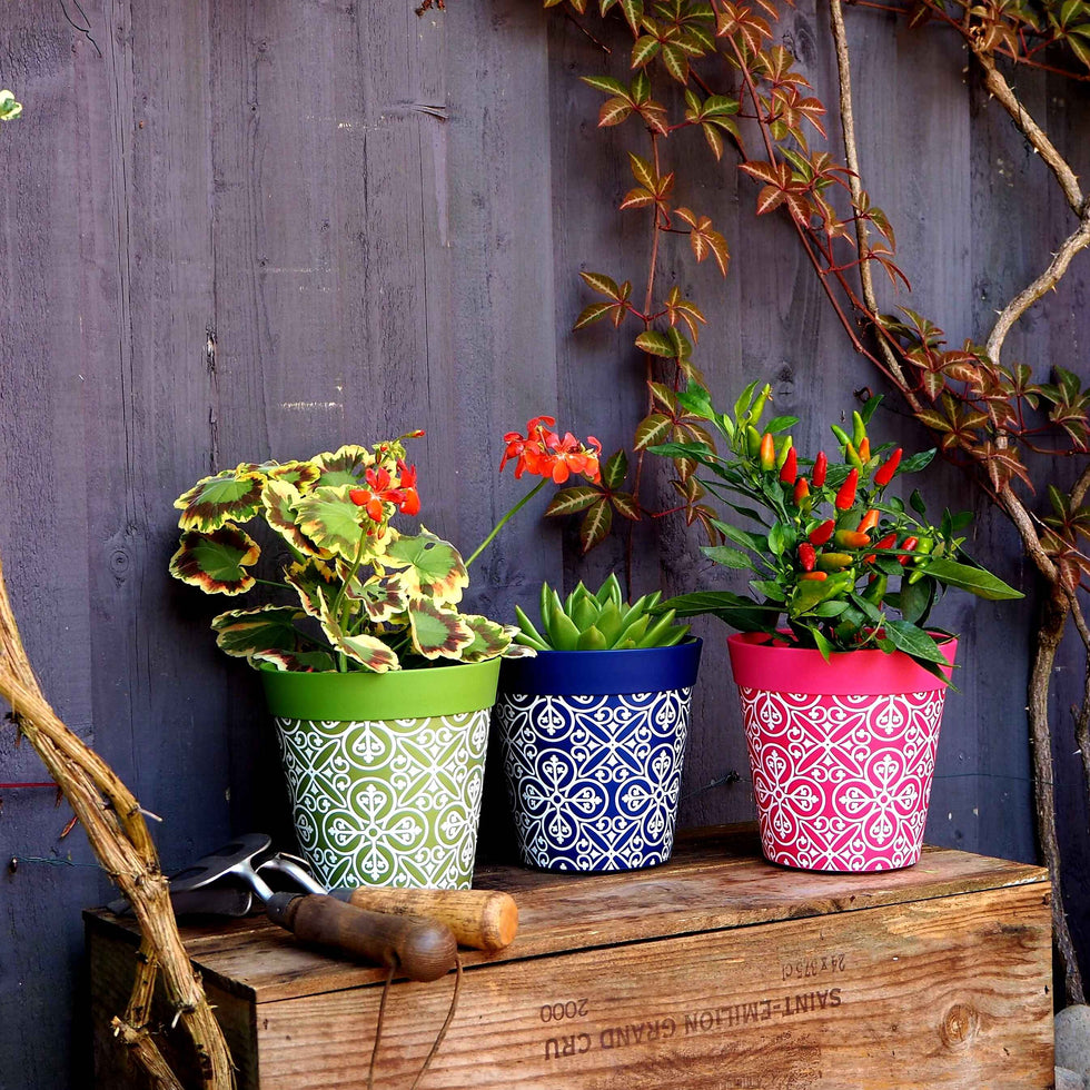 Hum Flowerpots colourful outdoor and indoor flower pots, made in UK